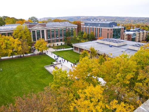 Ariel Zwang in NY Post Letter to Editor Supports Cuomo Anti-Sexual ...